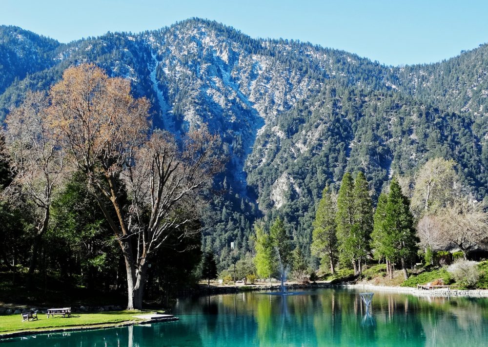 Forest_Home_Pond,_Forest_Falls,_CA_4-14_(17582234856) | Pacific Hills ...